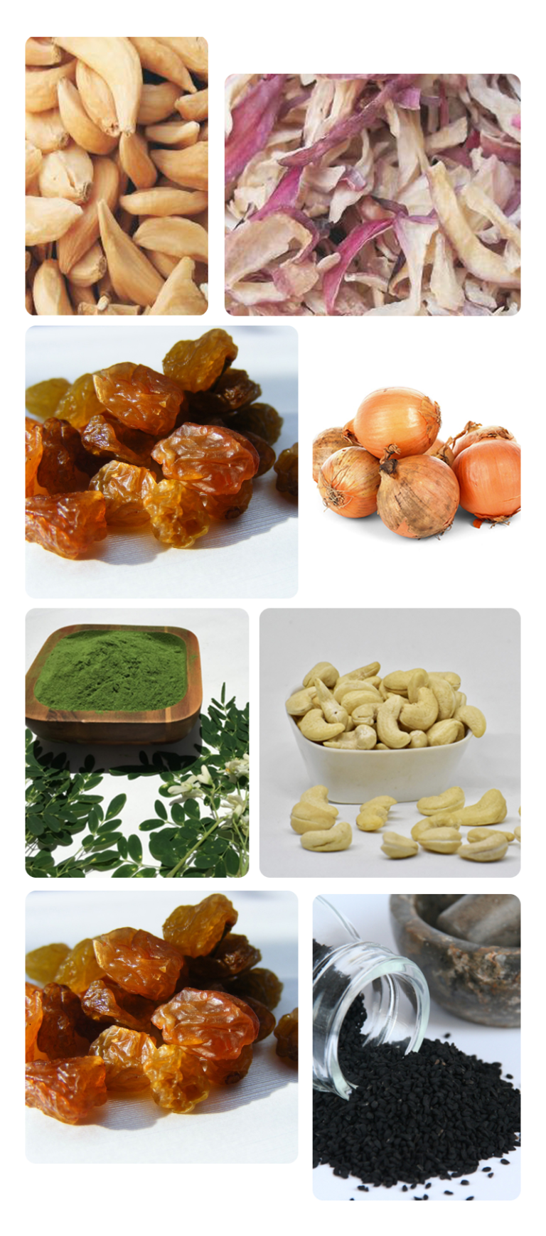 About - Horizon Hive International